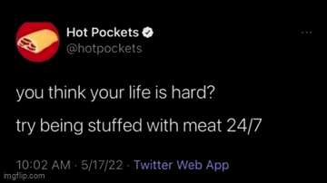 Hello fellow idiots. - Imgflip