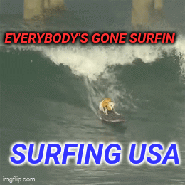 Surfing USA - Imgflip