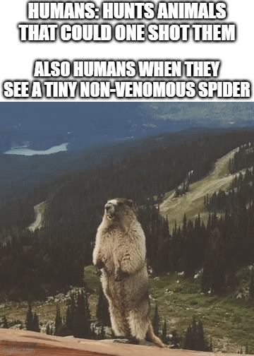 You Can Hear This GIF Without Sound - Imgflip