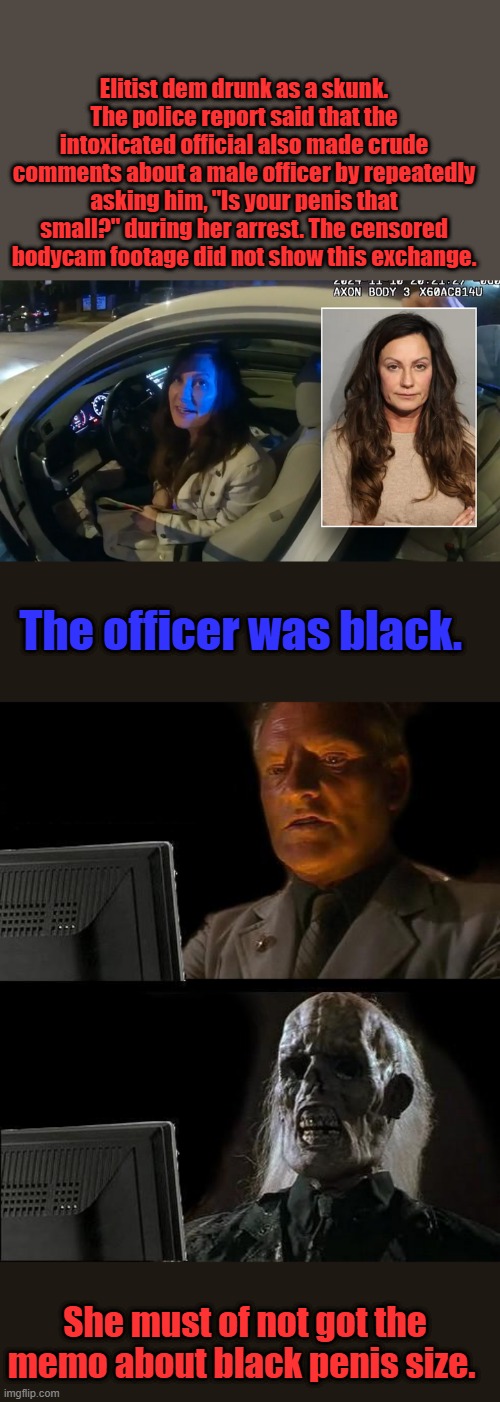 Cook County Board of Review Commissioner Samantha Steele ,shes so funny.. - Imgflip