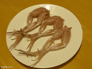 Muscle spasms in dead frog legs, the nervous system still reacting long ...