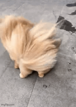 It's A Tad Windy Out There ! - Imgflip