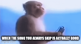 Who reads the titles? - Imgflip