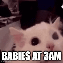 This is true tbh - Imgflip