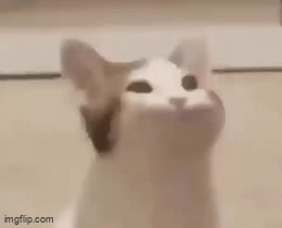 Popcat - Imgflip