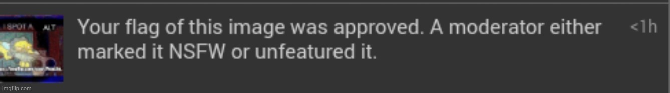 Flagger reveal - Imgflip