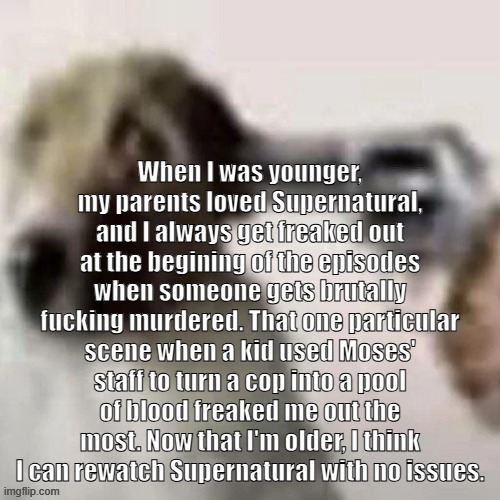 dog gunpoint - Imgflip