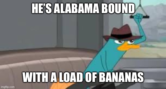 Dumbass post I thought of that by the time you see I will hate - Imgflip