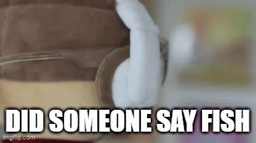 StanleyMOV plush - Imgflip