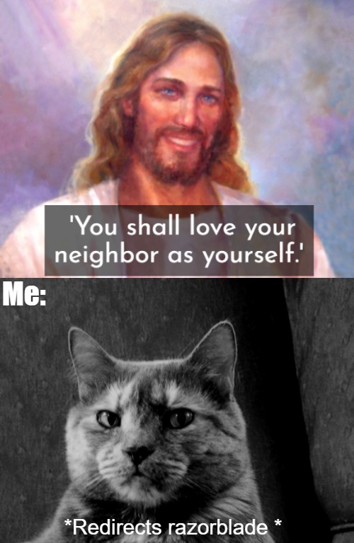 Image tagged in memes,suspicious cat,smiling jesus,dark humor,nsfw ...