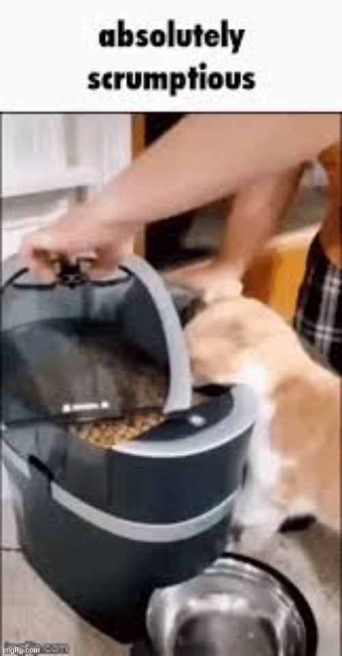 Imgflip