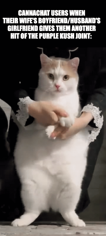 Purple kush bruhhhh - Imgflip