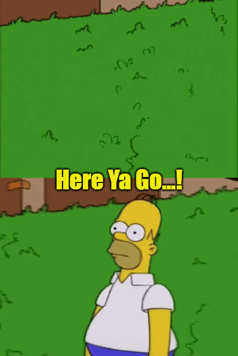 {gif template} Homer Hotline Bling {gif template} - Imgflip