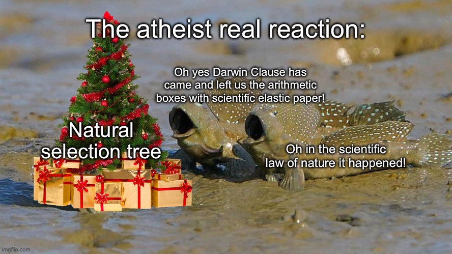 TakoTheMemer - Imgflip