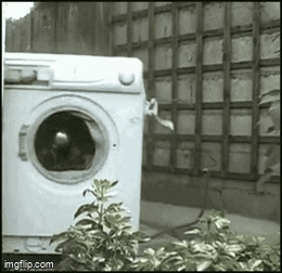 Washing machine commiting washacide - Imgflip