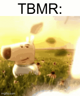 msmg slander #21 - Imgflip