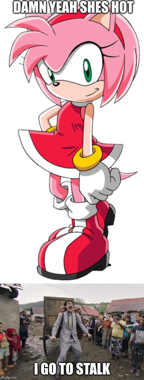 Image tagged in amy rose,borat i go to america - Imgflip