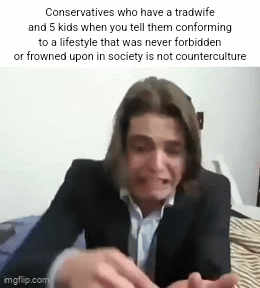 Counterculture? More like cringe culture - Imgflip