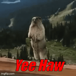 Yee haw - Imgflip