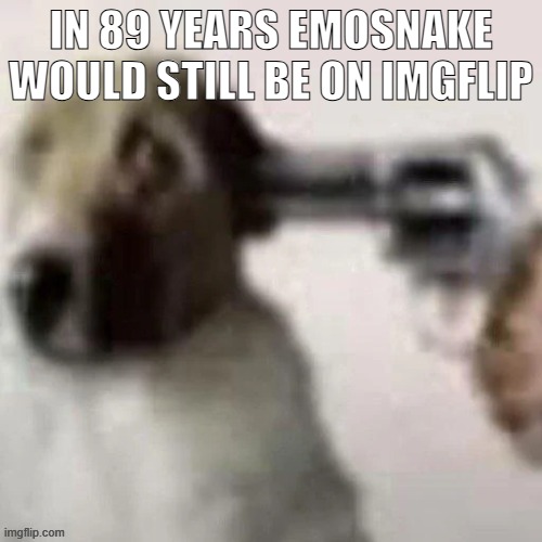 dog gunpoint - Imgflip