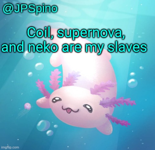 Btw dpoint is my slave for a week - Imgflip