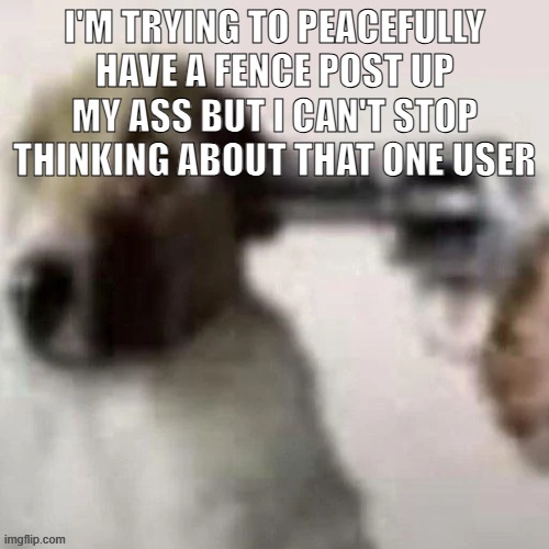 dog gunpoint - Imgflip