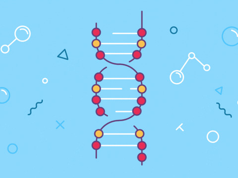 ADN Blank Template - Imgflip