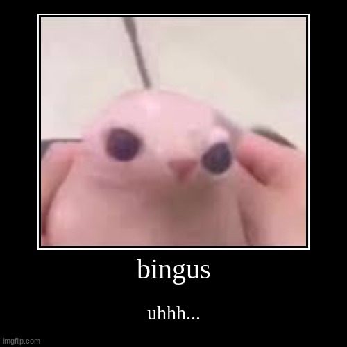 bingus - Imgflip