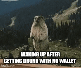 Yelling beaver - Imgflip