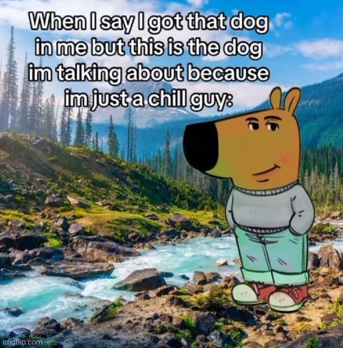 Chill guy - Imgflip