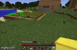 Animated GIF - Imgflip