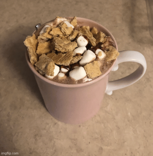I made Zamia’s hot coco! It was delicious! - Imgflip