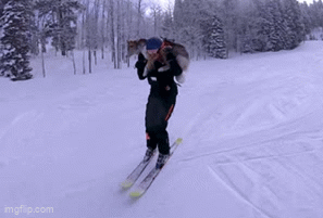 Ski ski ski - Imgflip