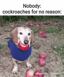 idk what to type (27) - Imgflip