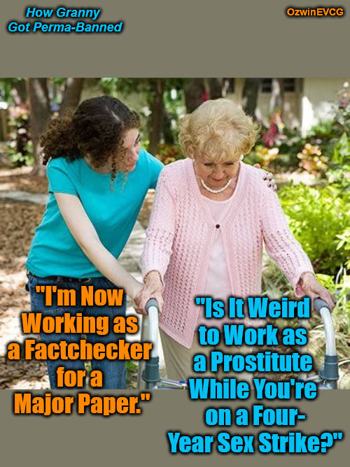 How Granny Got Perma-Banned - Imgflip