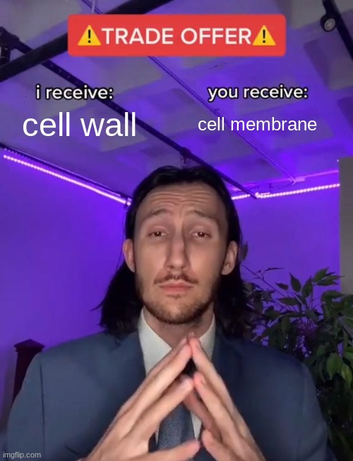 cell - Imgflip