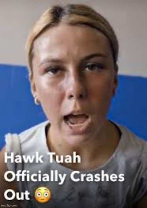 my crashout is in the description - Imgflip