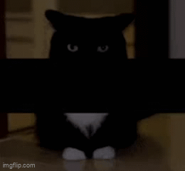 this cannot continue - Imgflip