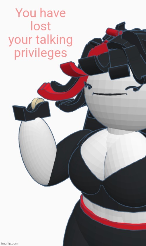 You have lost your talking privileges - Imgflip