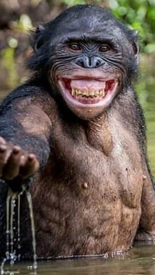 i understand this one though - Imgflip