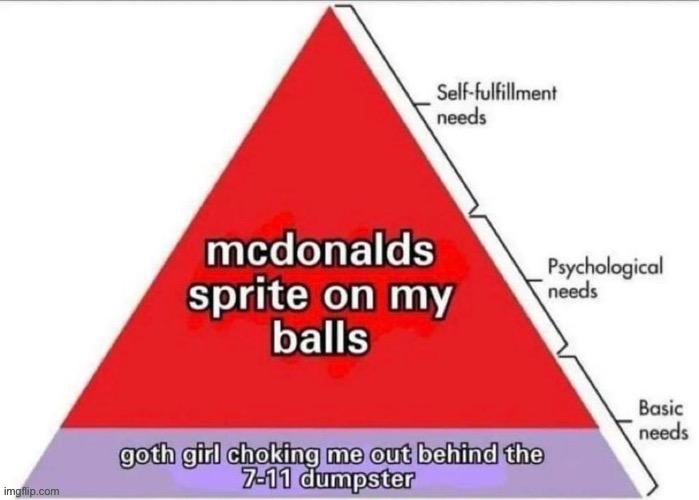 Who can supply the bottom - Imgflip