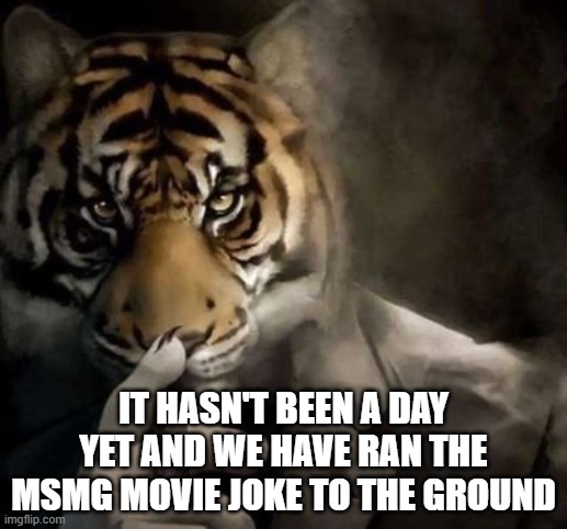 tiger smoking cigar - Imgflip