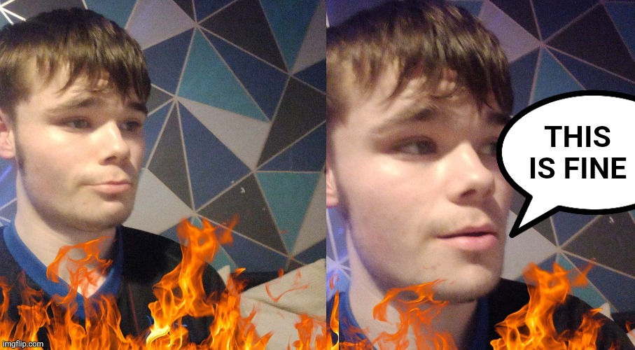 recreated the "this is fine" meme. how'd I do? - Imgflip