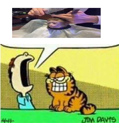 John Yelling at Garfield - Imgflip