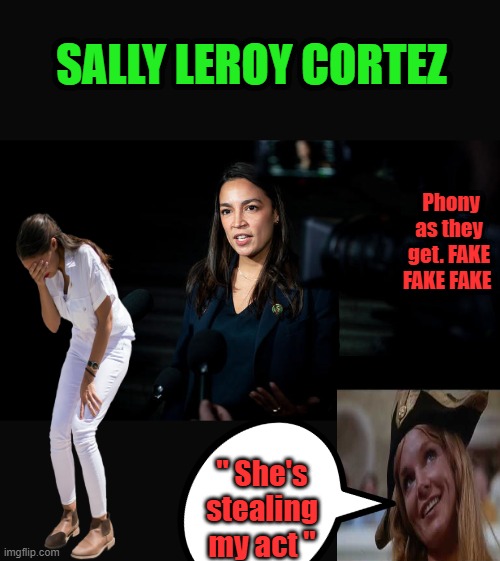 SHE was audition then finaced by Soros, she is not what you think she ...