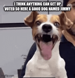 I think anything can get up voted so here a good dog named jimmy - Imgflip