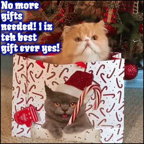 I Iz Teh Best Gift - Imgflip