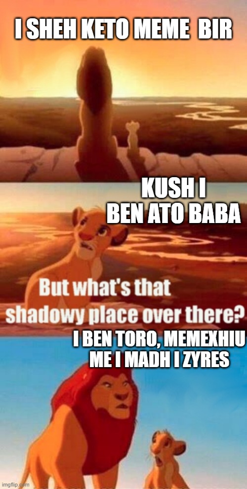 Simba Shadowy Place Meme - Imgflip
