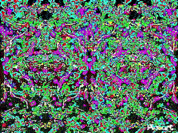 Imgflip