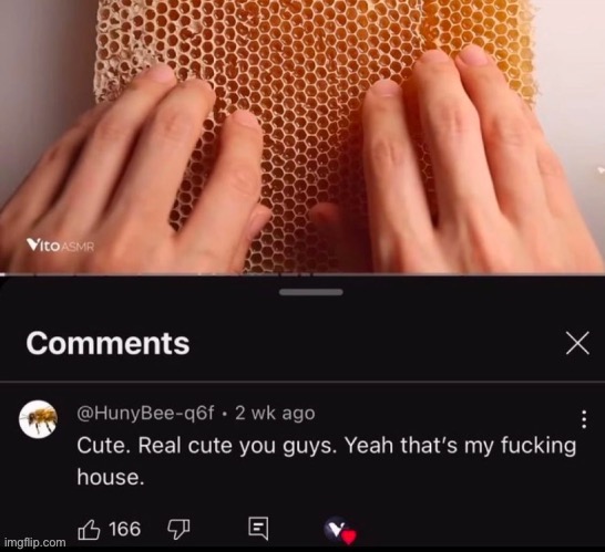 Image tagged in bee - Imgflip